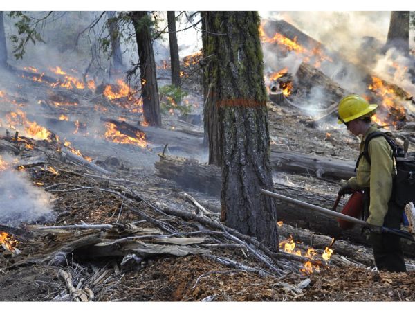 Home [leopold.wilderness.net]