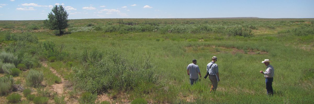 Center for Integrated Research on the Environment | University of Montana
