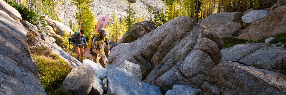 Forestry | University of Montana