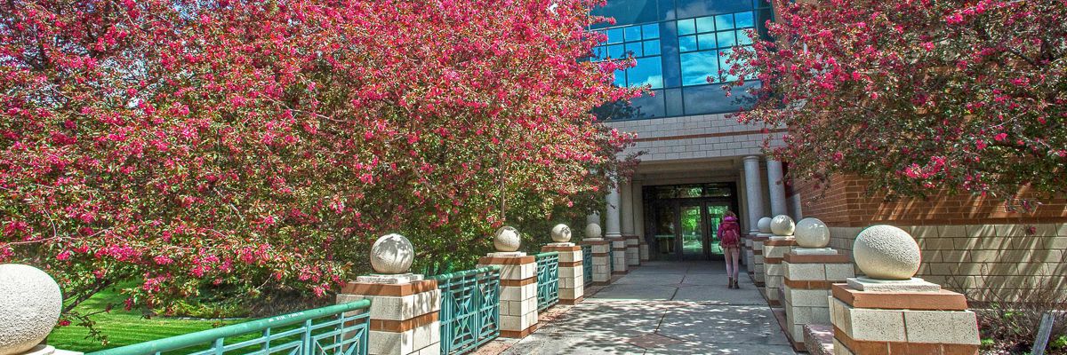Missoula Small Business Development Center | University of Montana