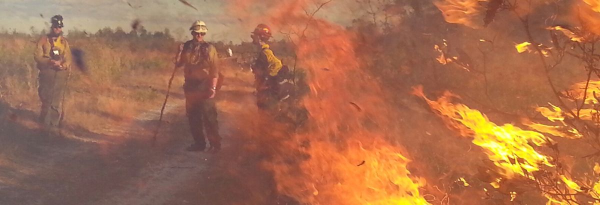 FireCenter | University of Montana