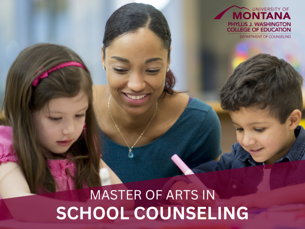 New: Online School Counseling MA