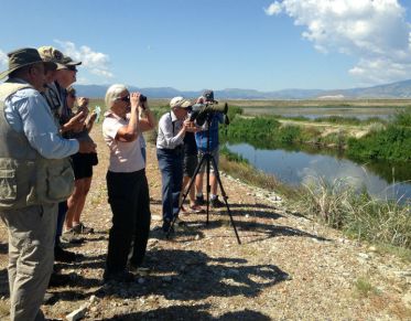 Contributing to the Knowledge of Avian Ecology
