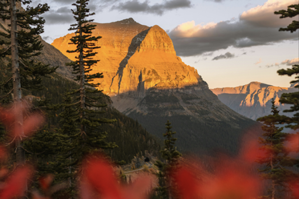 Institute for Tourism & Recreation Research | University of Montana