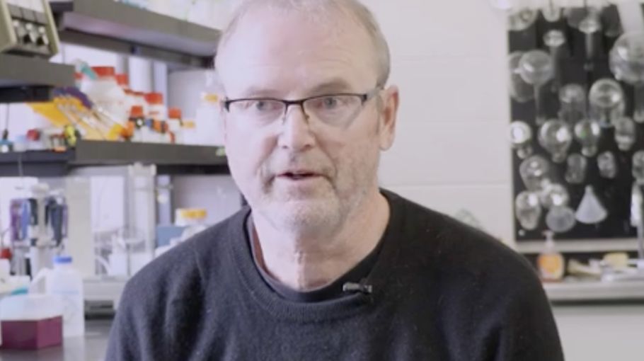 Delve Into The Brain and Cognition | University of Montana